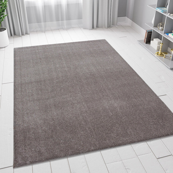Williston Forge Hearld Handwoven Beige Rug & Reviews | Wayfair.co.uk