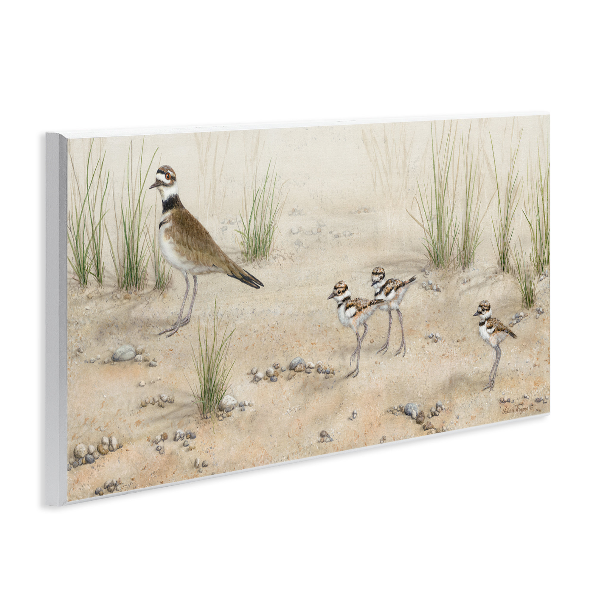 Dakota Fields Kildeer Birds Stepping Wall Plaque Art by Valerie Rogers ...