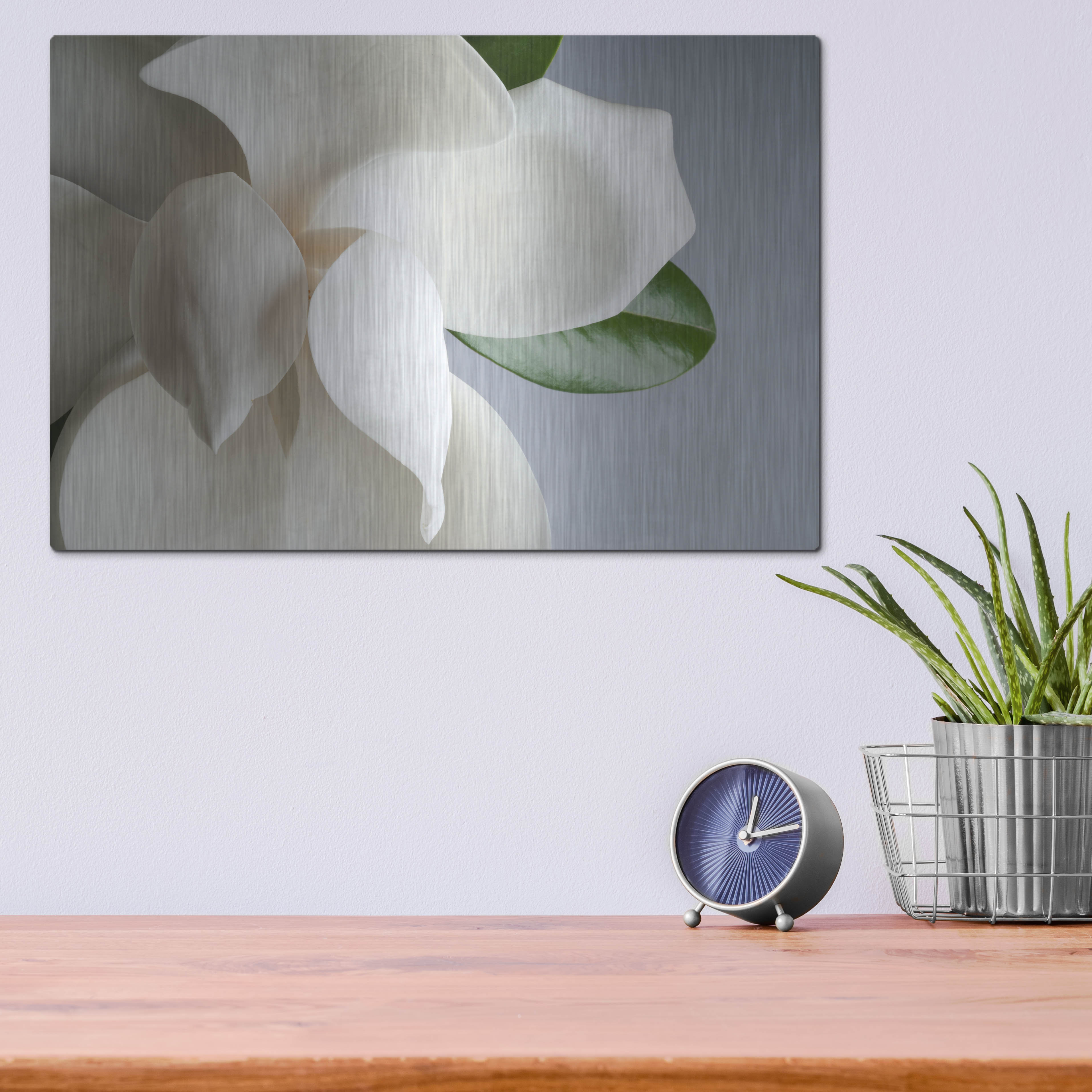 Winston Porter " Magnolia " by PhotoINC Studio | Wayfair