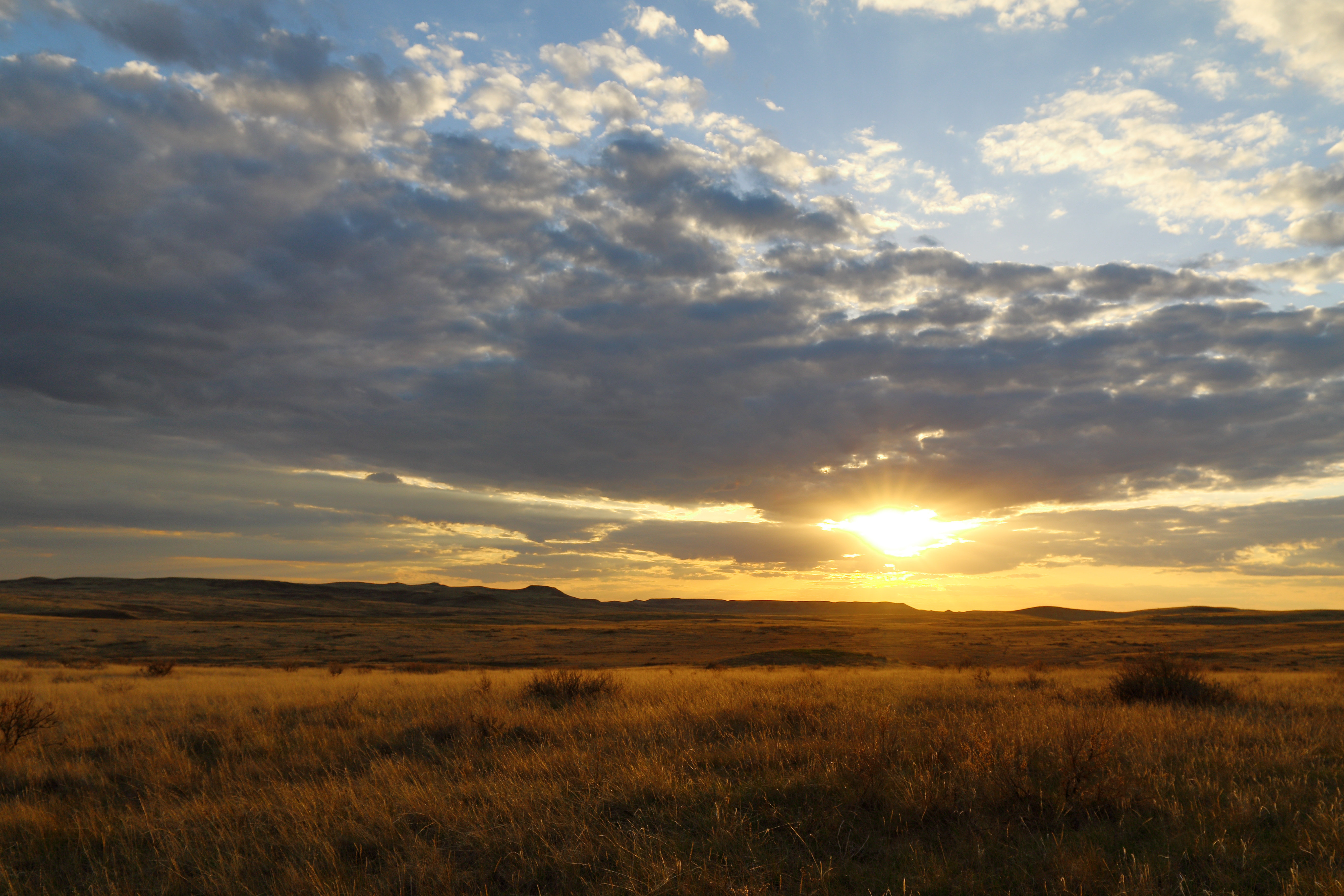 17 Stories Grasslands National Park by Reinhard - Wrapped Canvas Art ...