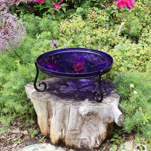 Wayfair | Small Bird Baths You'll Love in 2023