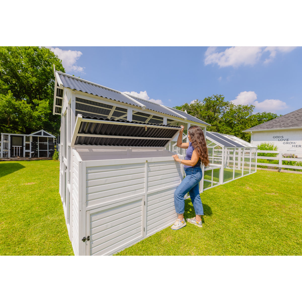 Zylina Modern Countryside Chicken Coop | Wayfair
