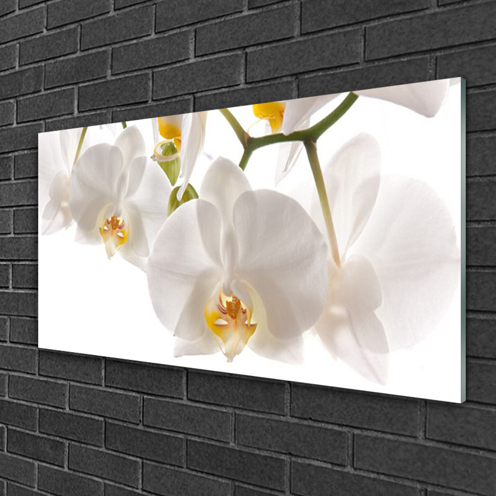 Brayden Studio Floral Flowers - Unframed Photograph on Glass | Wayfair ...