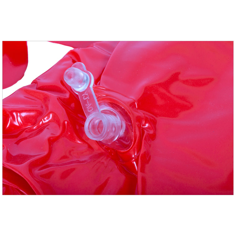 CTGBrands CTG Plastic Inflatables - Wayfair Canada