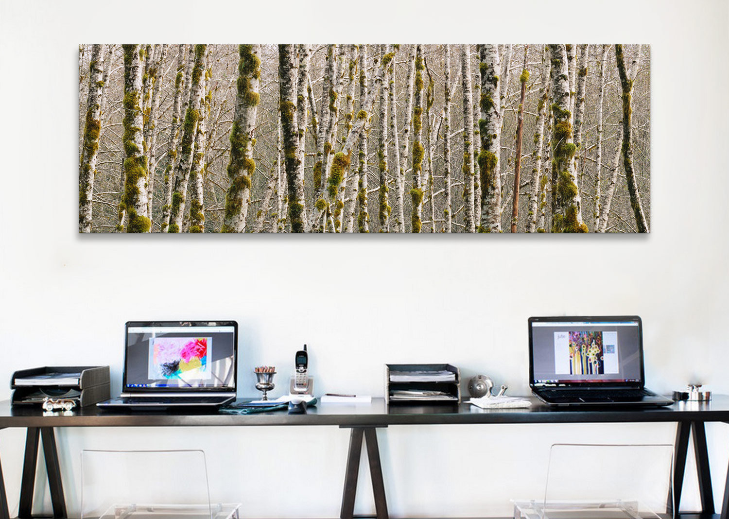 Ebern Designs Panoramic Trees in the Forest, Red Alder Tree, Olympic ...