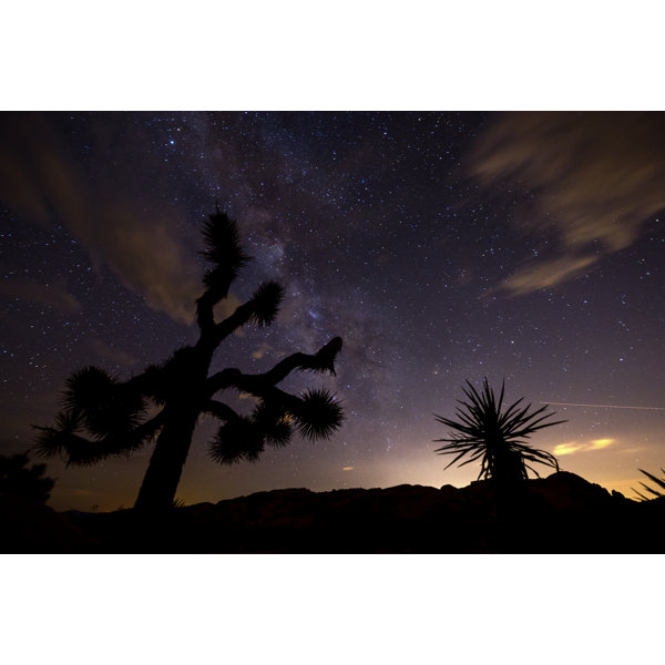 17 Stories Lateisha Night In Joshua Tree by Kojihirano - Wrapped Canvas ...