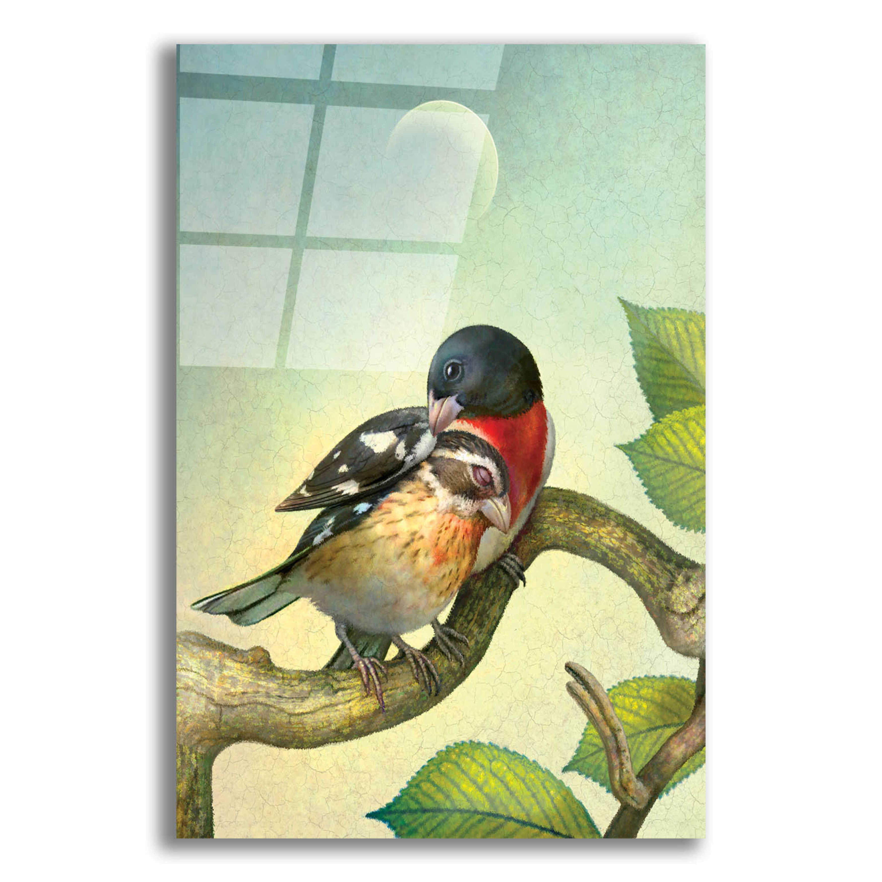 Winston Porter 'Three Of Air Grossbeaks' By Dan Craig Acrylic Glass ...