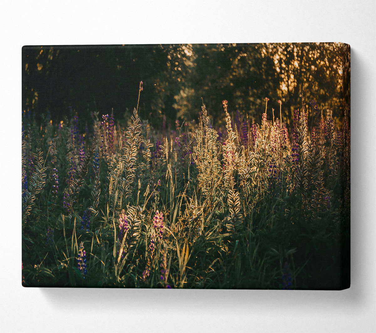 World Menagerie No Frame Print on Canvas | Wayfair.co.uk
