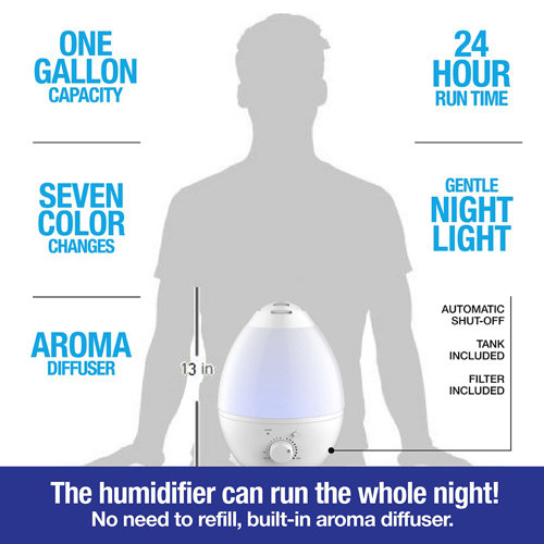 Bell & Howell 1 Gal. Ultrasonic Tabletop Humidifier & Reviews | Wayfair