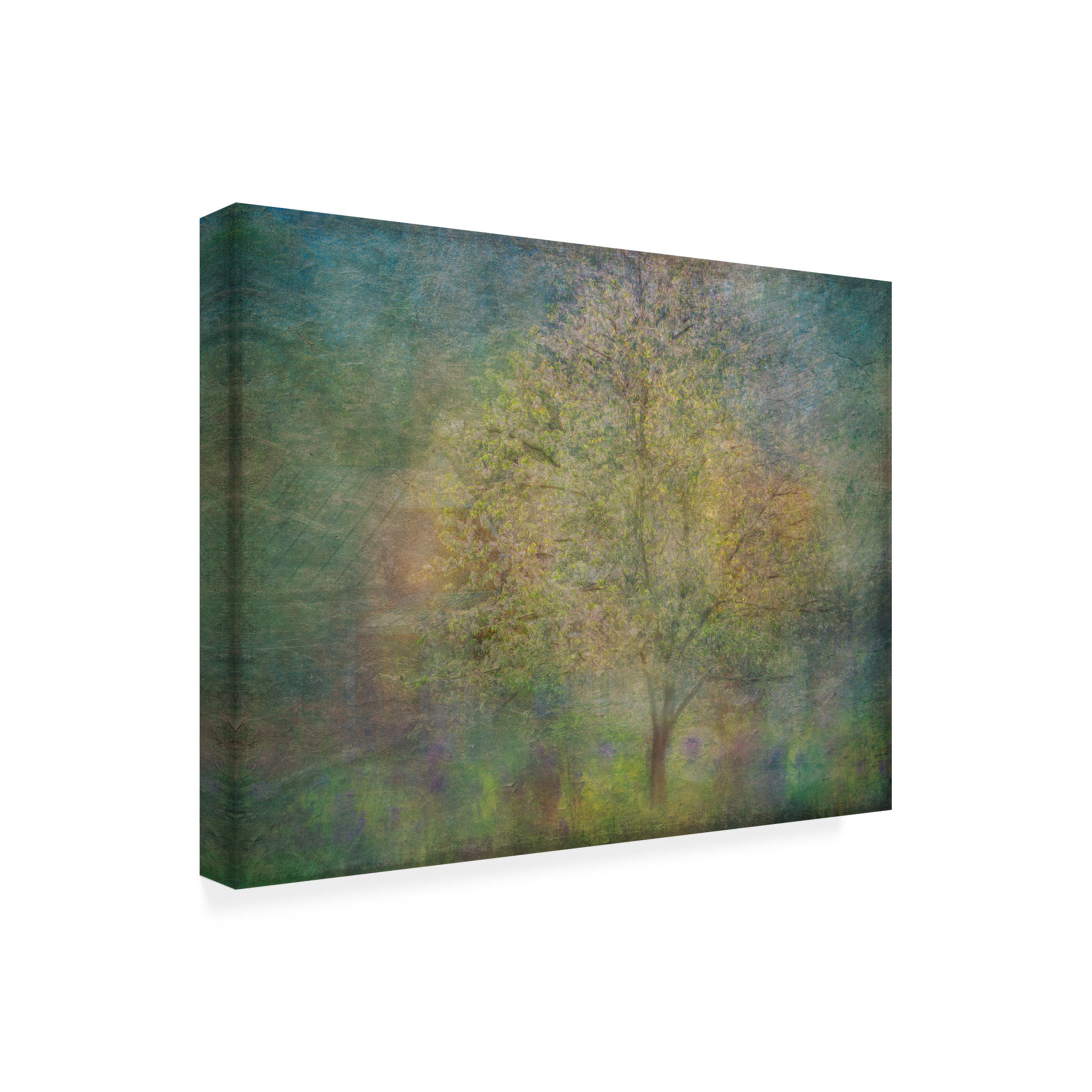 Winston Porter Enajah Saskia Dingemans Impressions Of A Tree Canvas Art ...