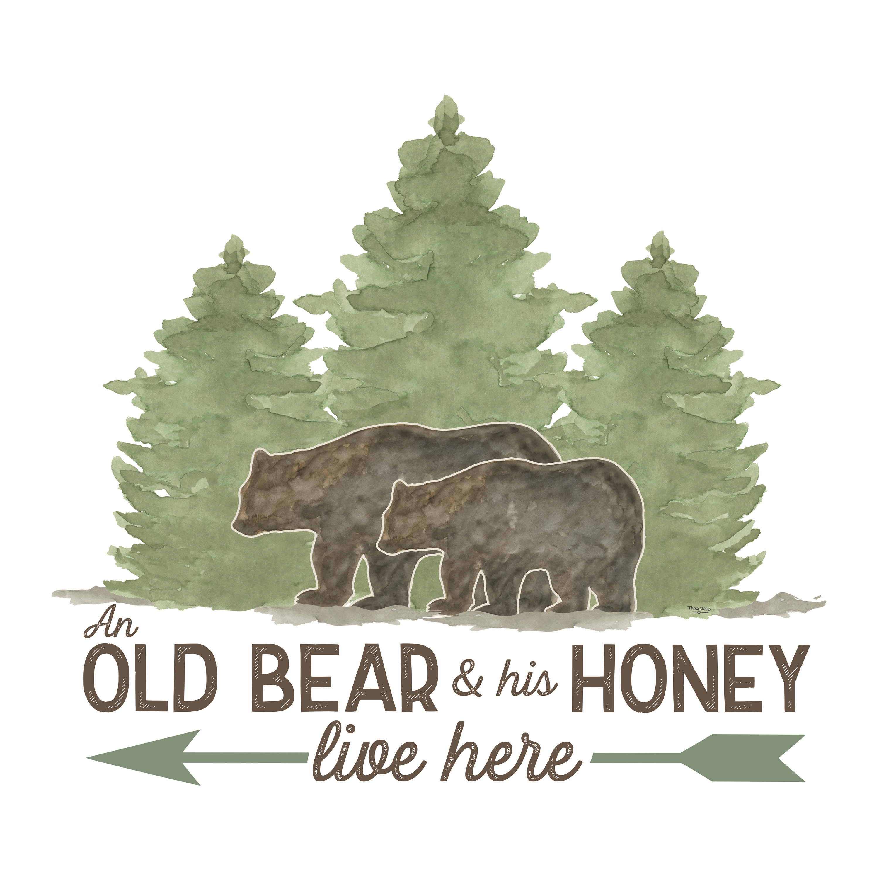 Millwood Pines Zayac Lost in Woods V-Old Bear by Tara Reed - Wrapped ...