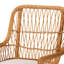 Bay Isle Home™ Bali & Pari Teresa Bohemian Light Honey Scalloped Arm ...