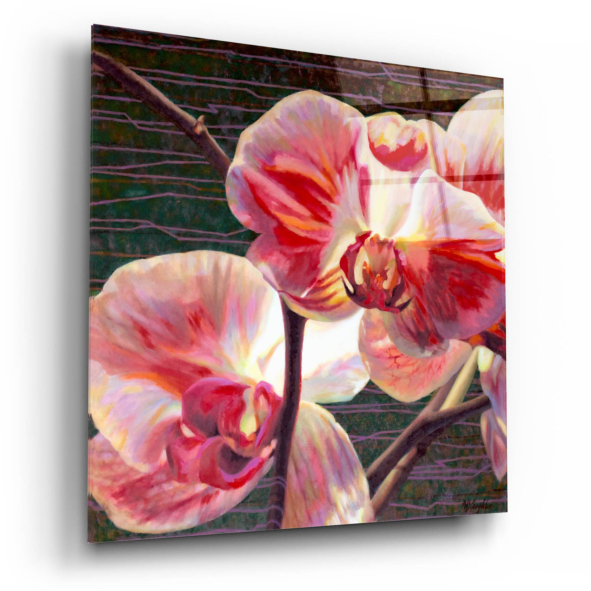 Red Barrel Studio® 'Show Offs' By Jan Mclaughlin, Acrylic Glass Wall ...