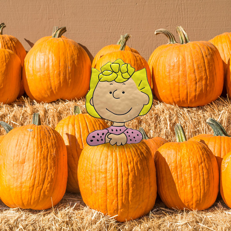 The Holiday Aisle® Peanuts Sally Pumpkin Garden Stake | Wayfair