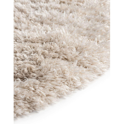 MarilynMonroe Solid Color Rug & Reviews | Wayfair