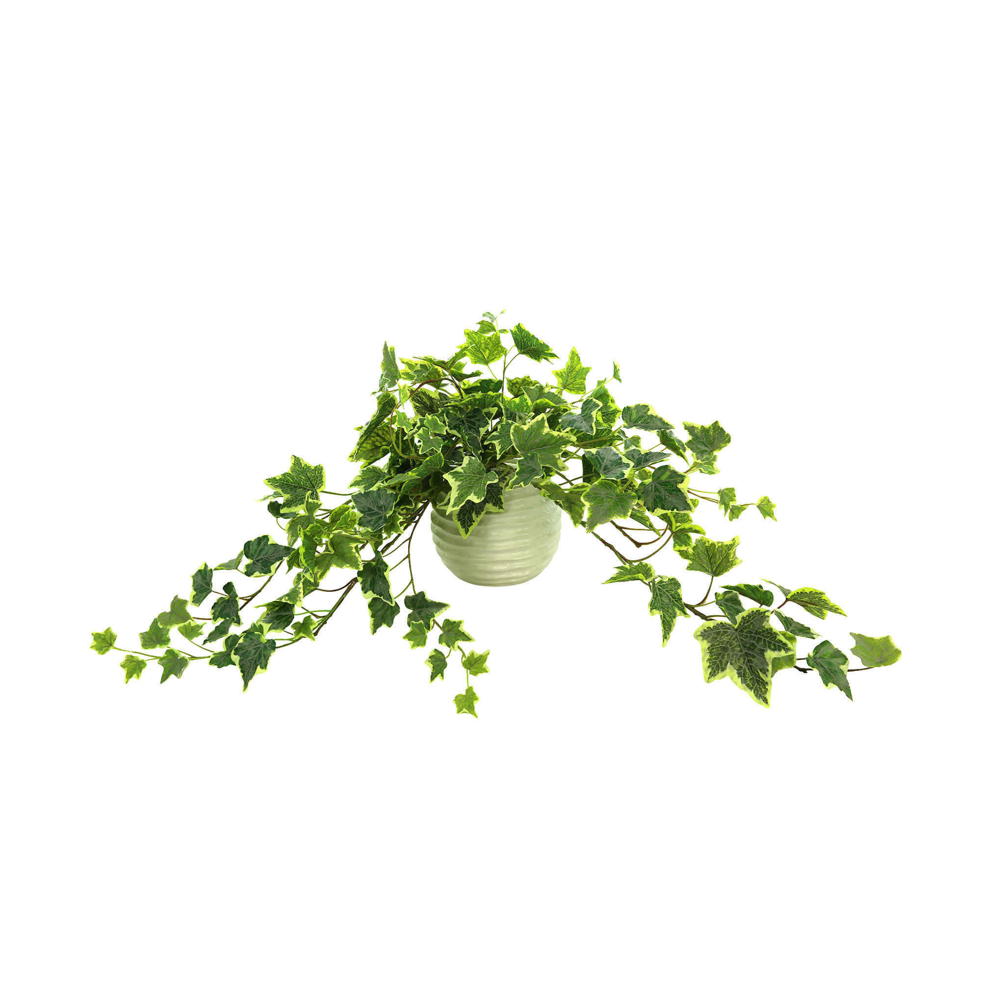 Creative Displays, Inc. Variegated Ivy Arrangement in Ceramic Pot ...