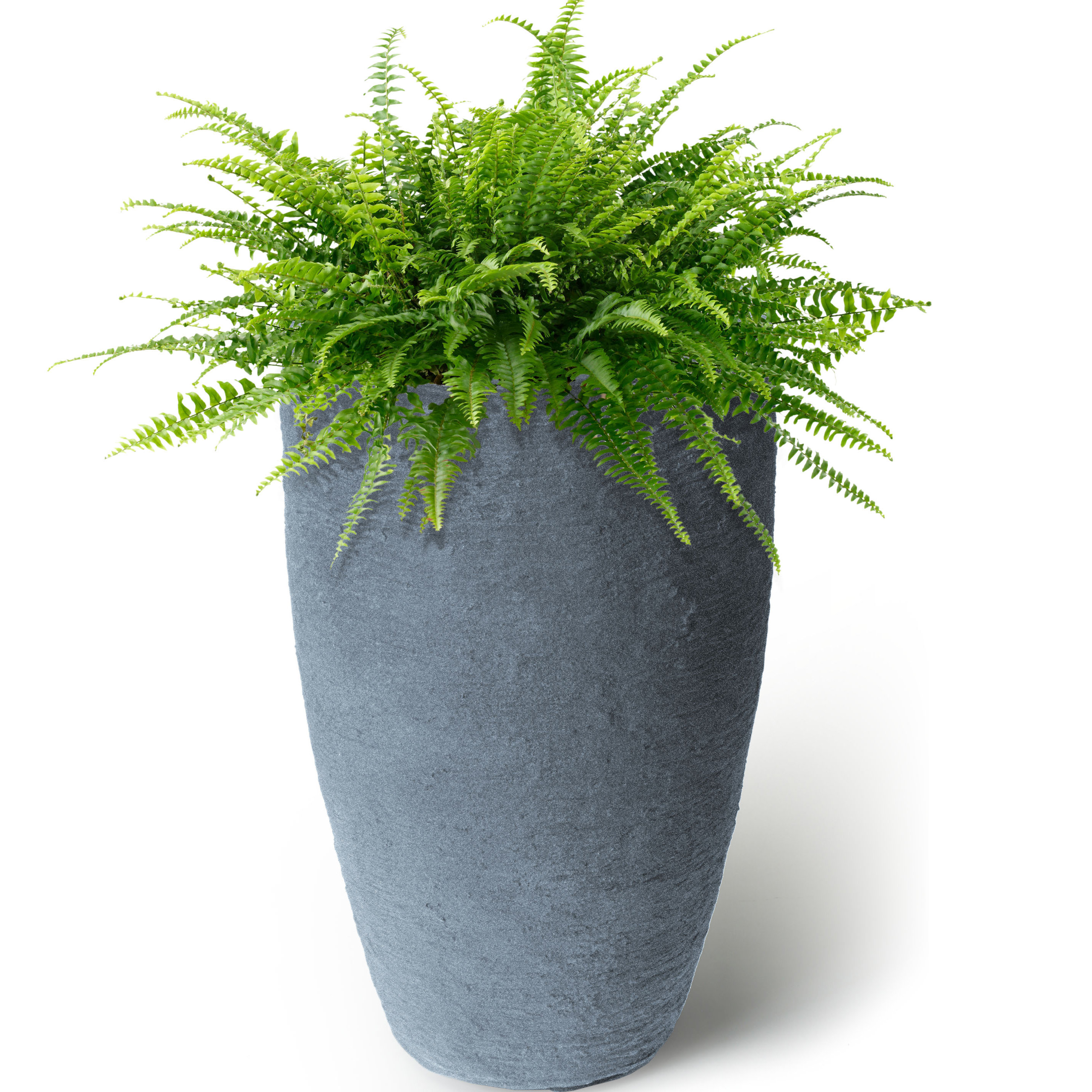 Alcott Hill Callan Tall Double Walled Pot Planter & Reviews | Wayfair