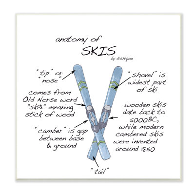 Stupell Industries Anatomy Of Skis Winter Sports Diagram Facts Chart On ...
