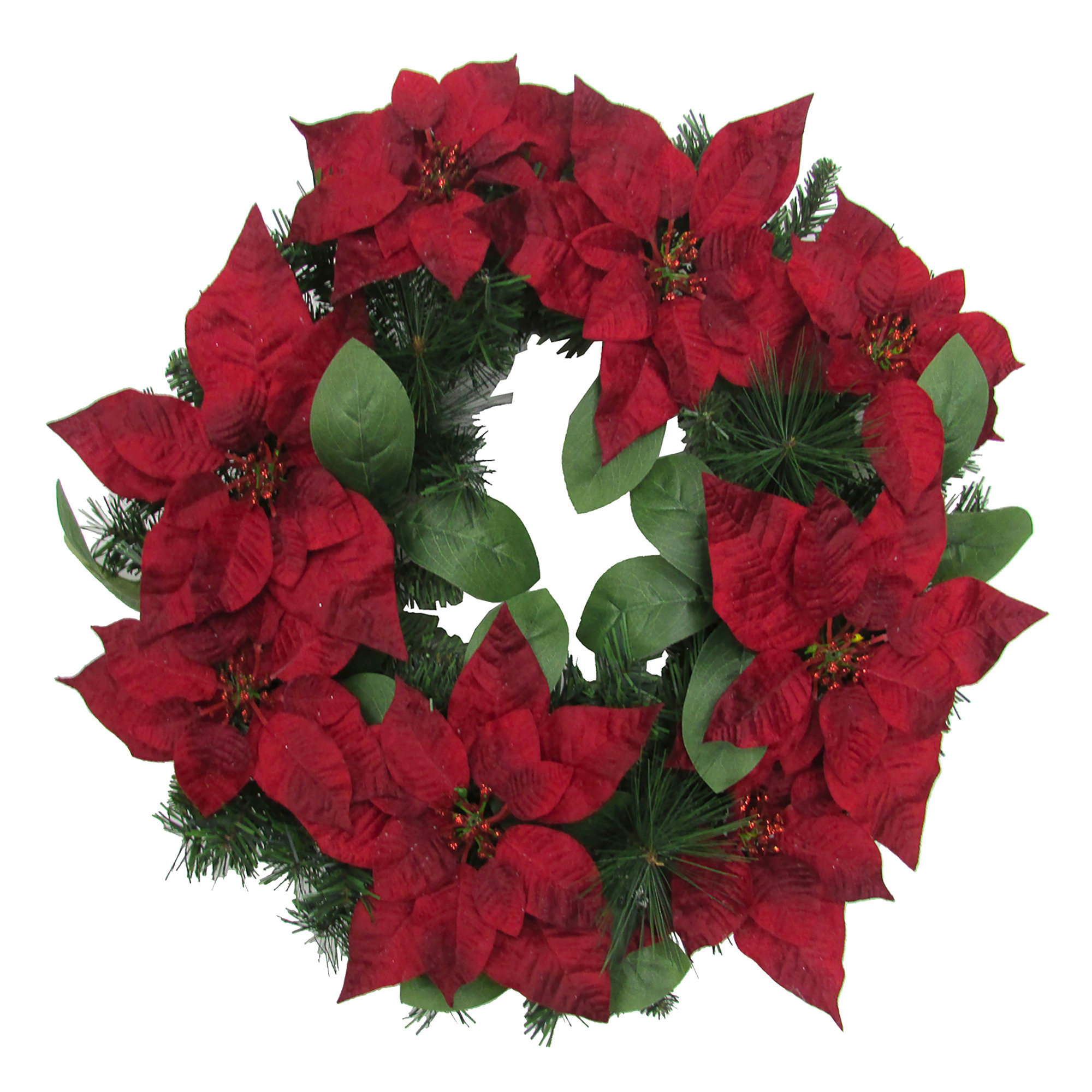 Fraser Hill Farm Velvet Poinsettia Blooms and Leaves 24" PVC Wreath ...