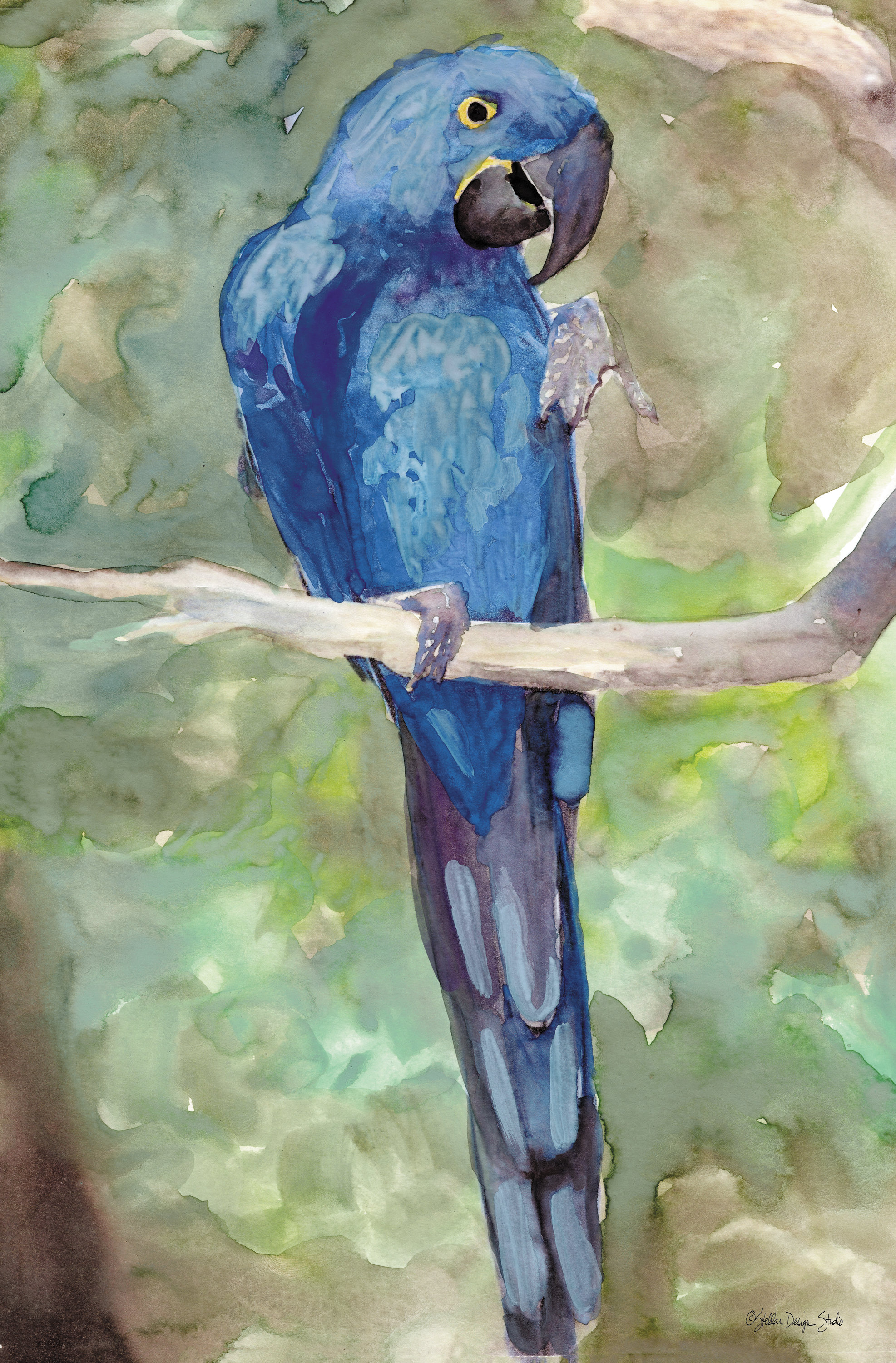 Bayou Breeze Blue Parrot by Stellar Design Studio - Print | Wayfair