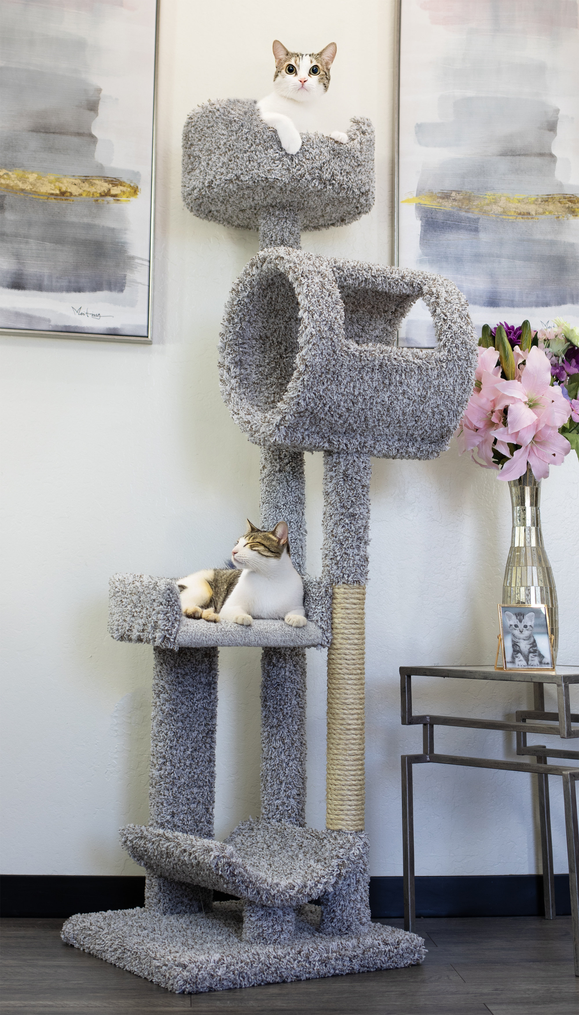 New Cat Condos 63" New Staggered Cat Tree & Reviews | Wayfair