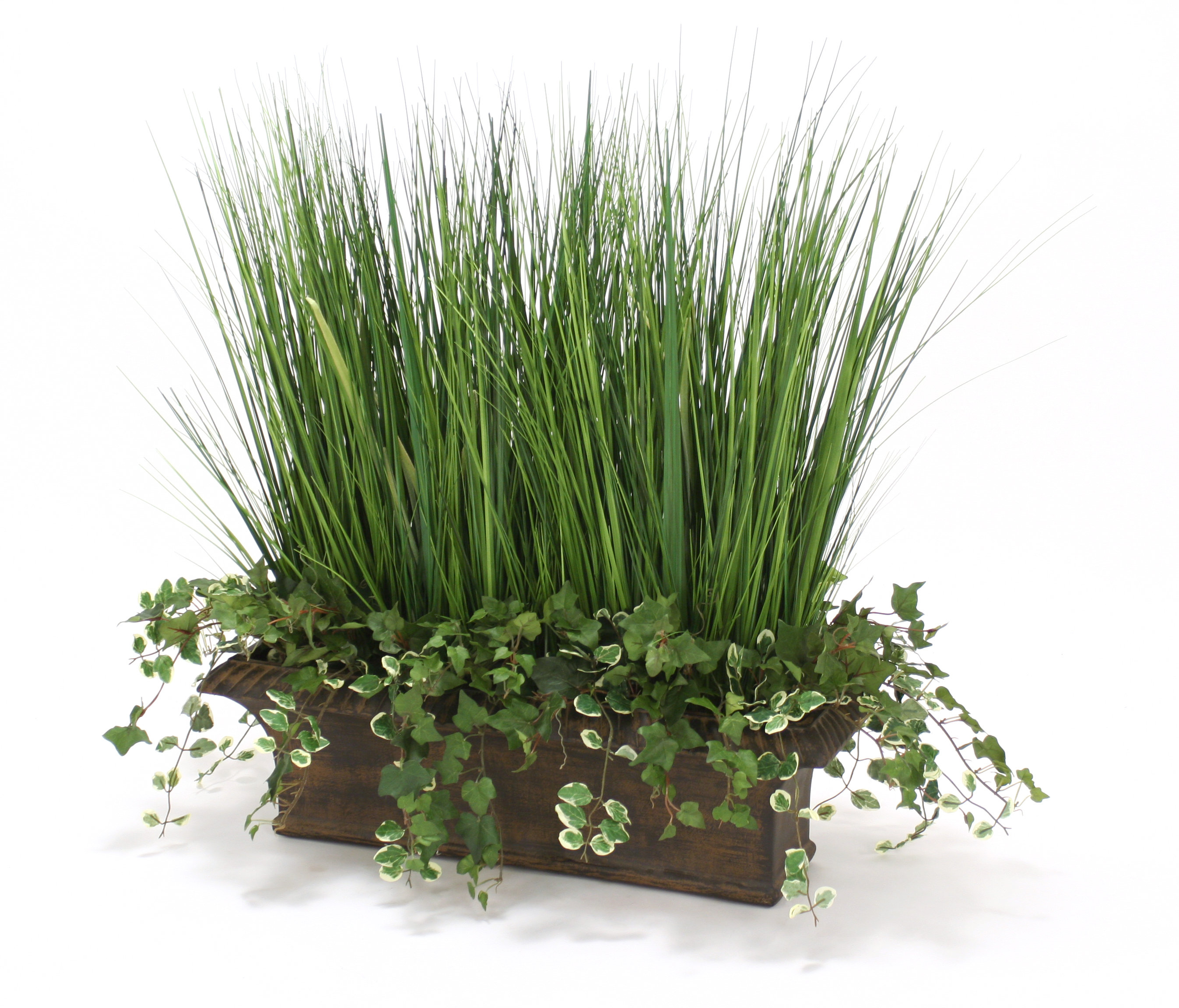 Distinctive Designs Swedish Ivy Grass in Planter | Wayfair