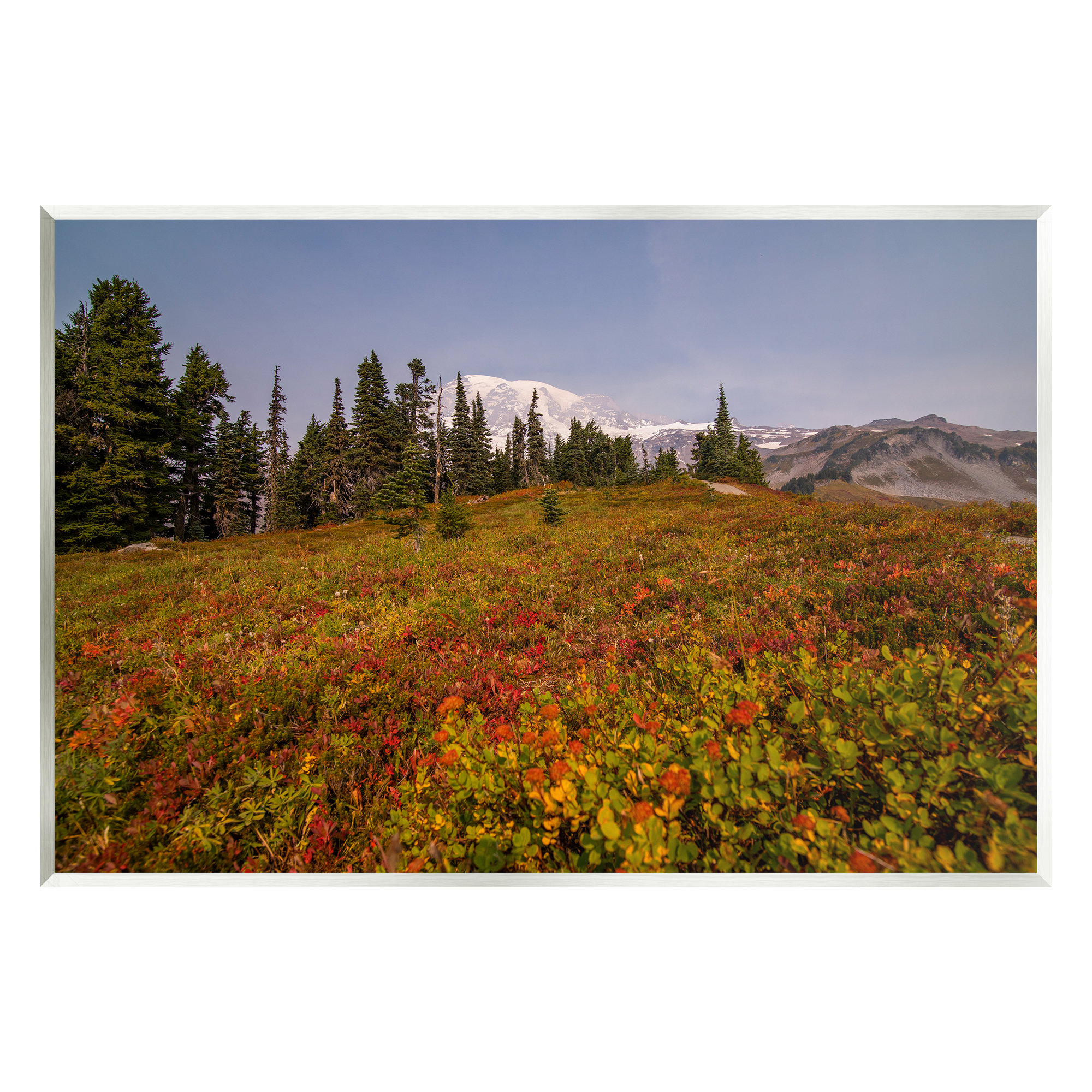 Stupell Industries Mountain Meadow Scenery by Aaron Matheson - Unframed ...