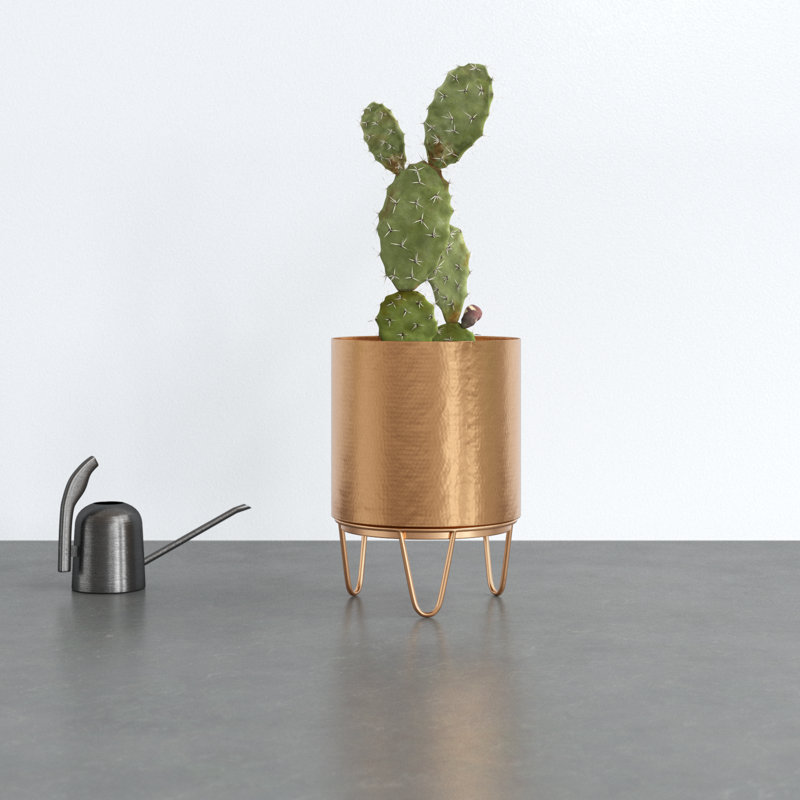 AllModern Aliana Metal Cachepot | Wayfair