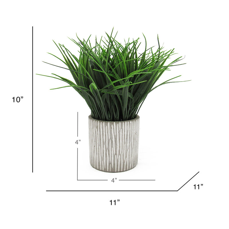 Gracie Oaks 10'' Artificial Grass in Pot & Reviews | Wayfair