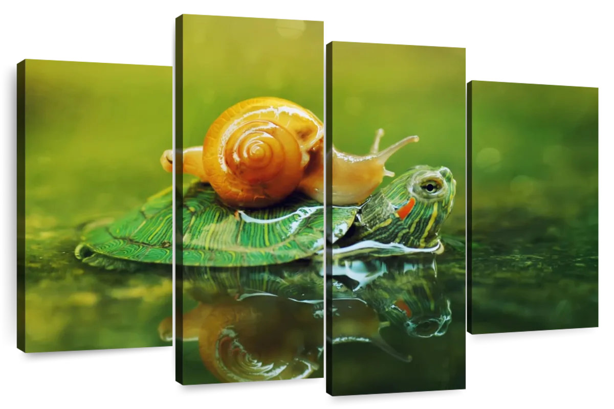 Ebern Designs Brampt Snail On Turtle | Wayfair