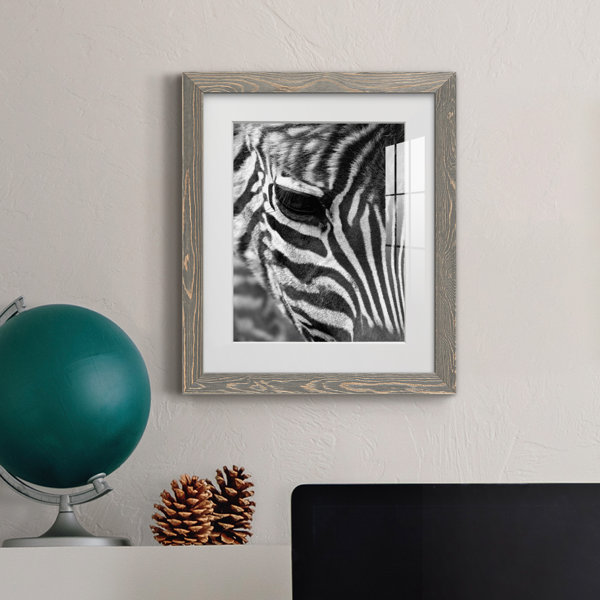 Ebern Designs Zebra Colt Framed On Paper Print - Wayfair Canada