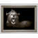 Ebern Designs Lion Roar - Single Picture Frame Print | Wayfair.co.uk