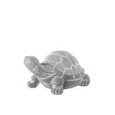Hi-Line Gift Ltd. Turtle Statue & Reviews | Wayfair