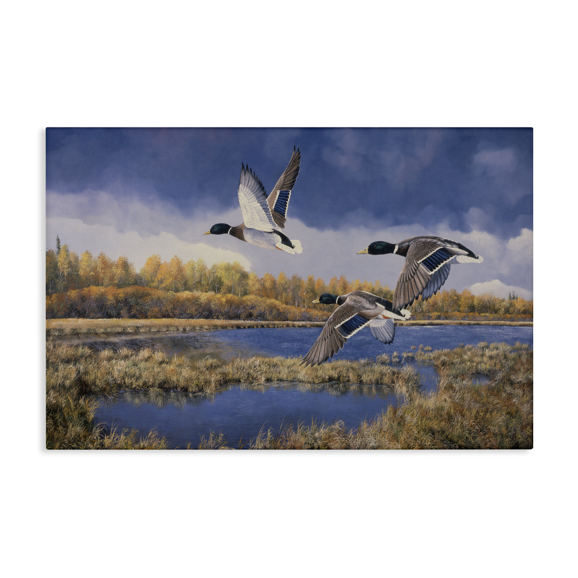 August Grove® Ducks Heading South Canvas Wall Art by Andrew Kiss | Wayfair