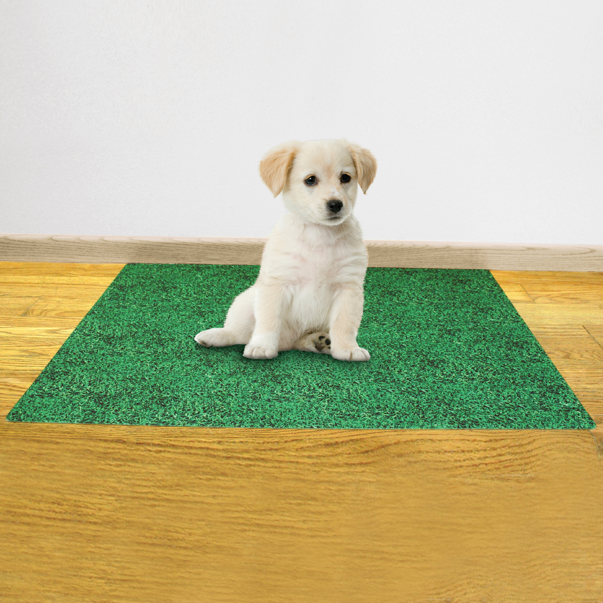 Tucker Murphy Pet™ Leak Resistant Puppy Potty Pad | Wayfair