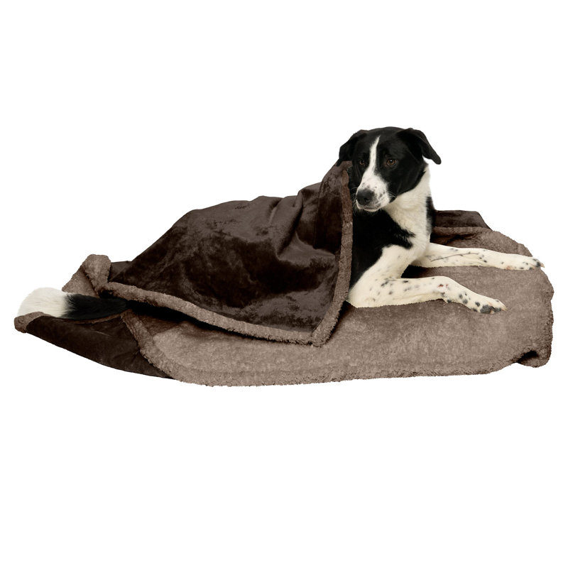 FurHaven Snuggly & Warm Soft-Edge Warming Waterproof Blanket | Wayfair