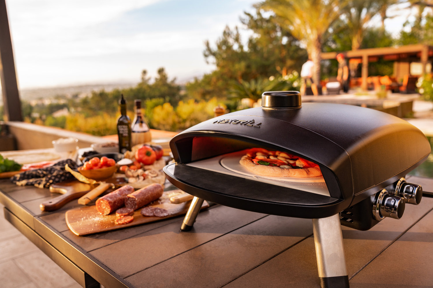 Nexgrill Cast Aluminum Countertop Liquid Propane Pizza Oven & Reviews ...