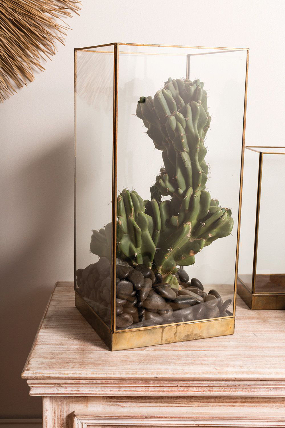 Trent Austin Design® Montero Display Box | Wayfair