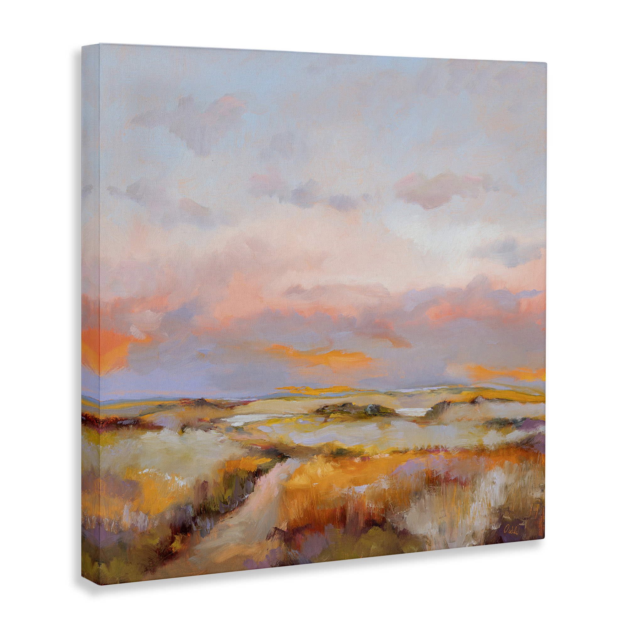 Winston Porter Bright Sun Bleached Meadow Canvas Wall Art by Odile bp ...