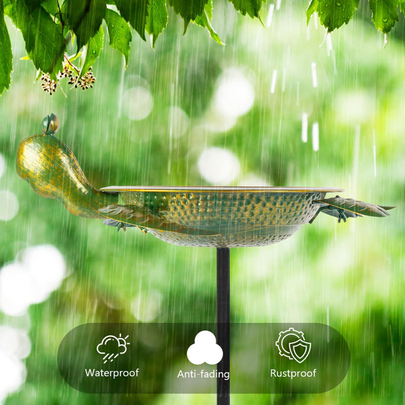 Lark Manor™ Turtle Bird Baths,Rustproof Birdbaths For Garden | Wayfair