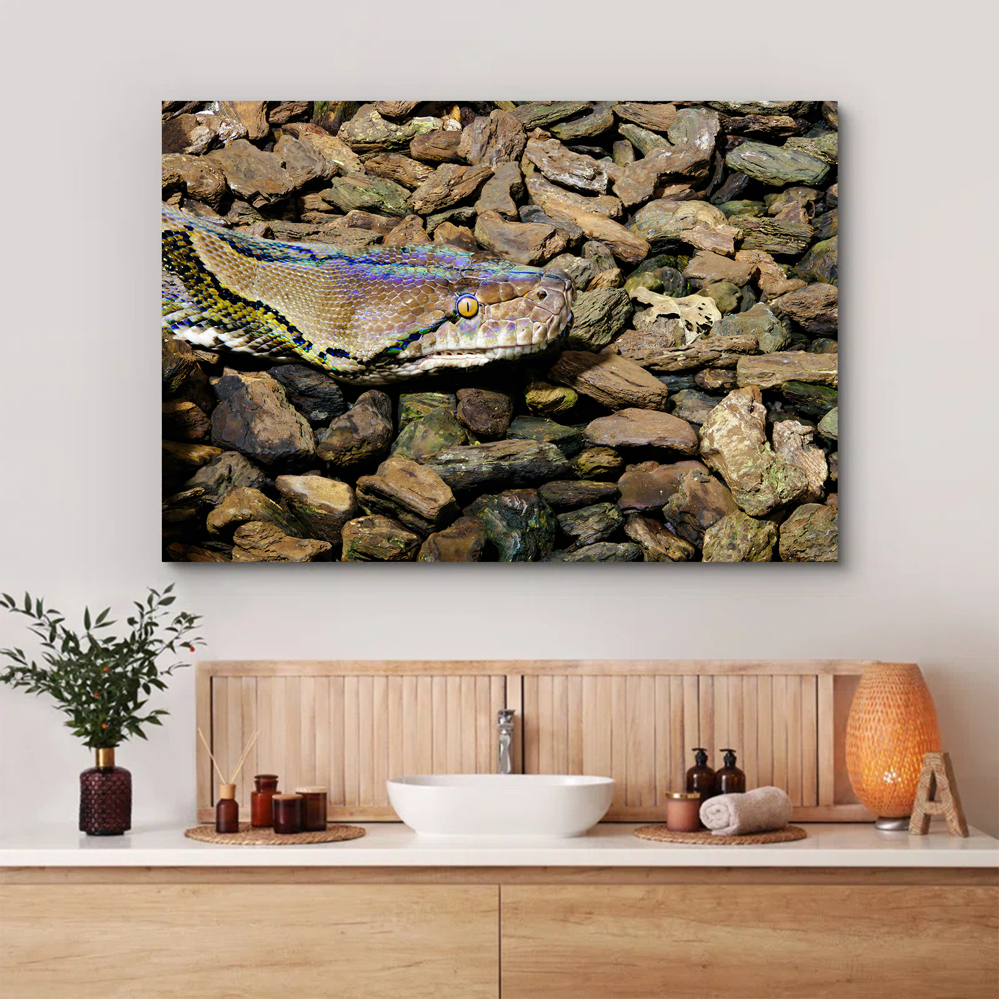 Ebern Designs Closeup of Reticulated Python Head between Rocks and Wood ...