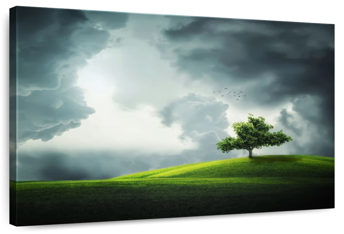 Millwood Pines Alvord Cloudy Field | Wayfair