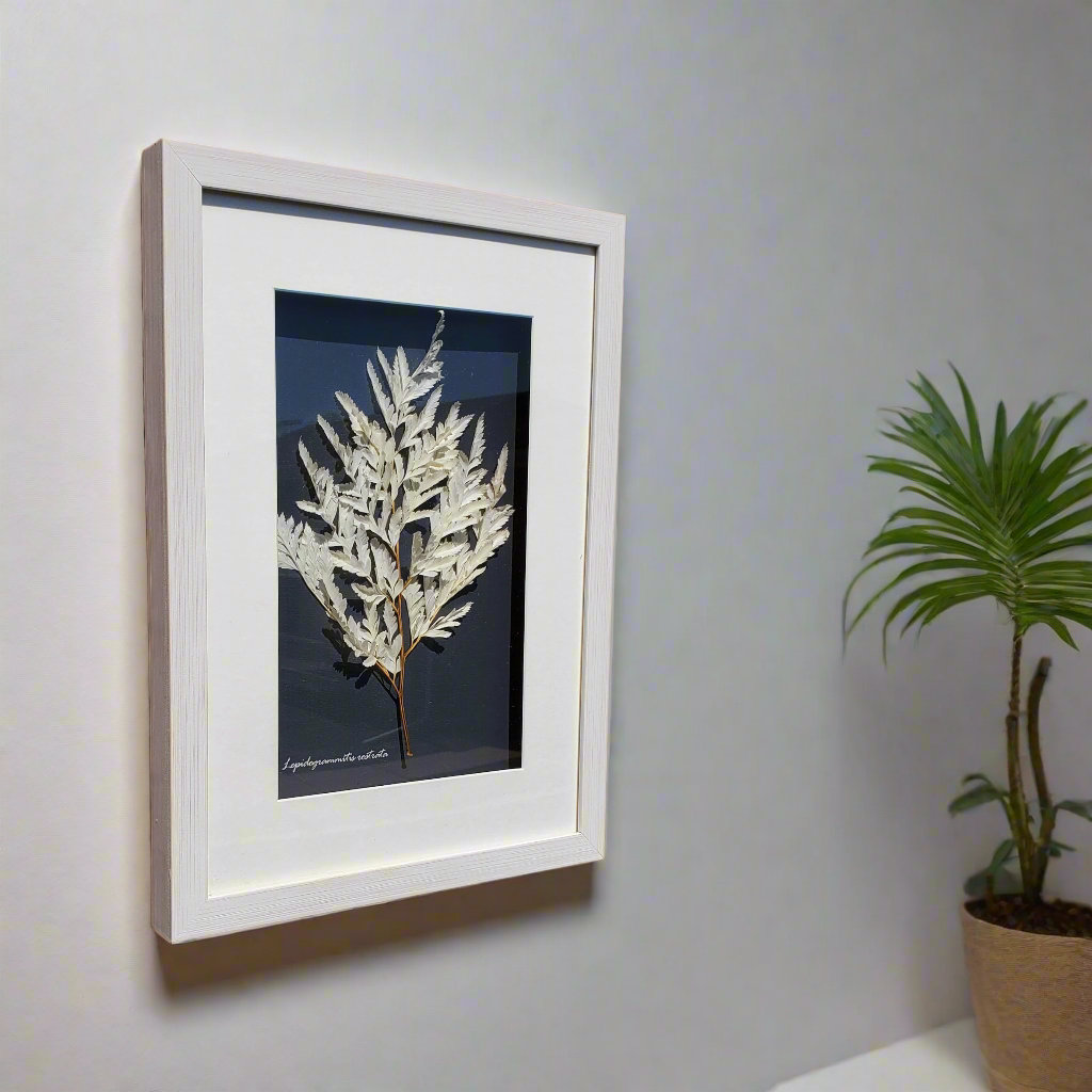 Ponder and Pun Botanical Shadow Box – Delicate Leaf (12x16in) | Wayfair