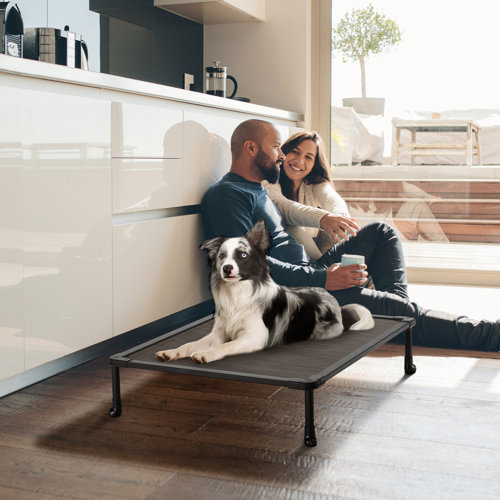 Small Dog Beds You'll Love | Wayfair