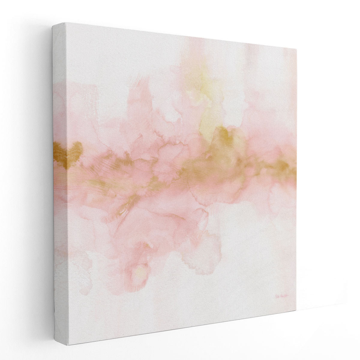 Orren Ellis Rainbow Seeds - Canvas Print Wall Art | Wayfair