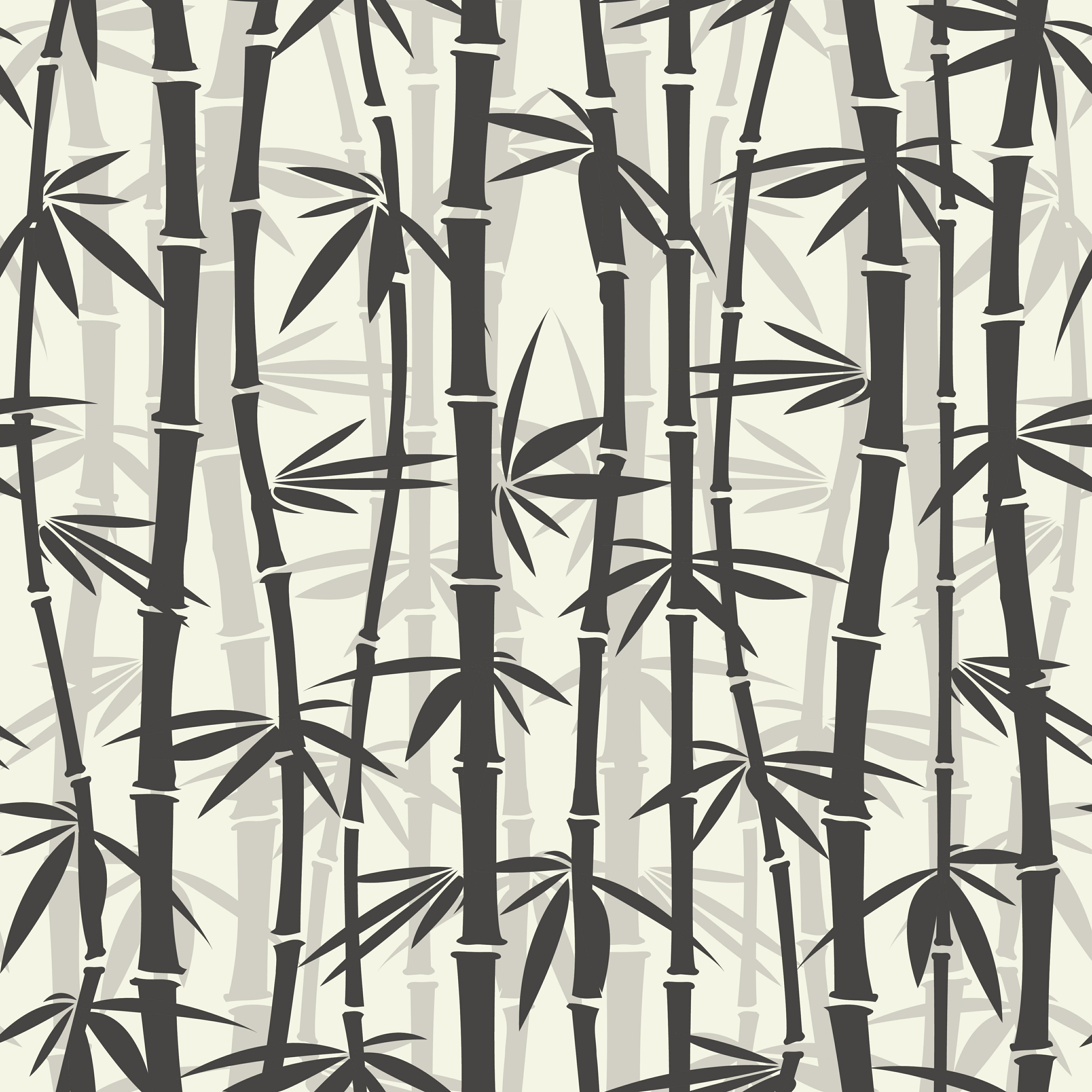 Bay Isle Home™ Syracuse Bamboo - Wrapped Canvas Graphic Art | Wayfair