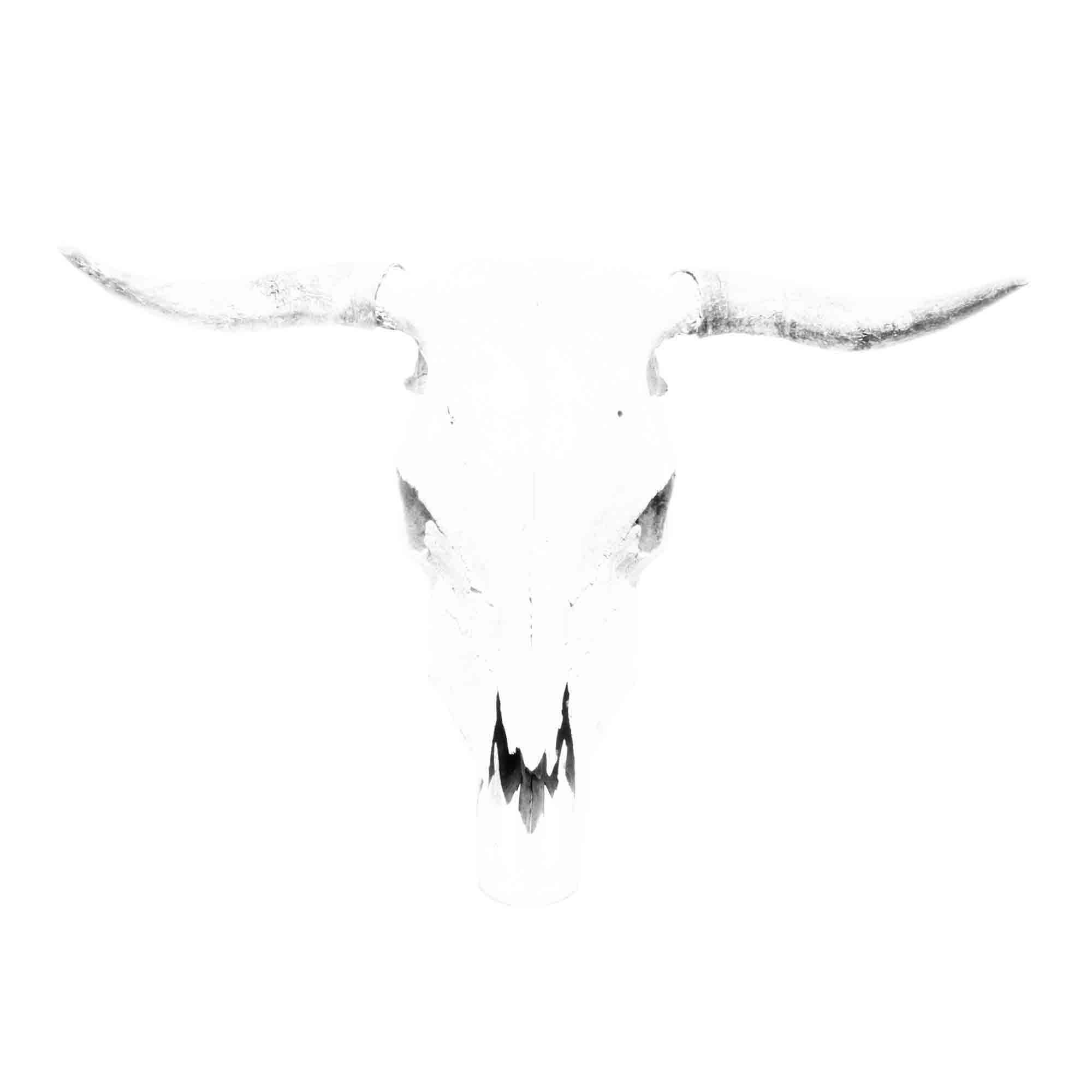 Marmont Hill Bleached Horns - Print on Canvas | Wayfair