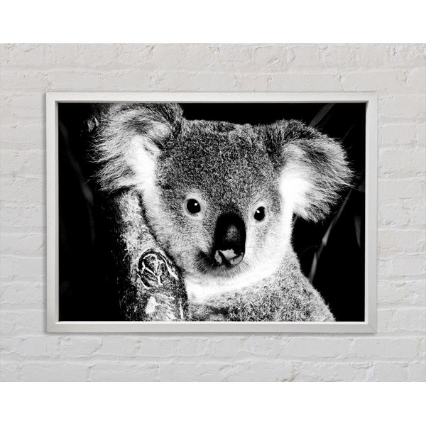 Union Rustic Koala Bear - Single Picture Frame Print on Canvas ...