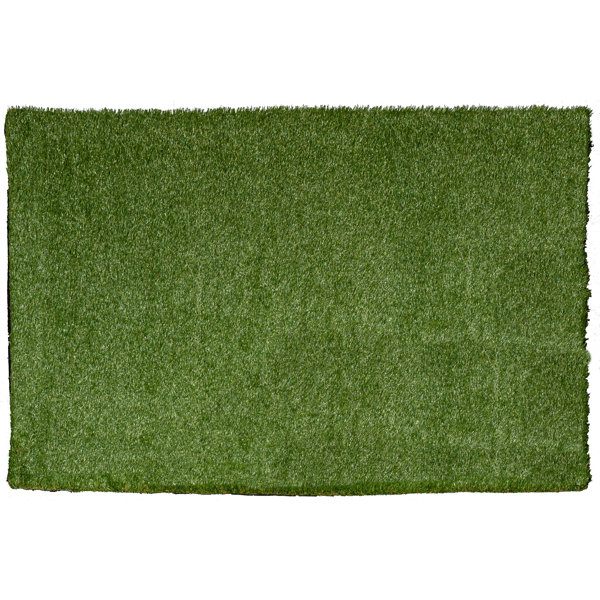 American Home Outdoor Artificial Grass Turf Rug / Roll | Wayfair