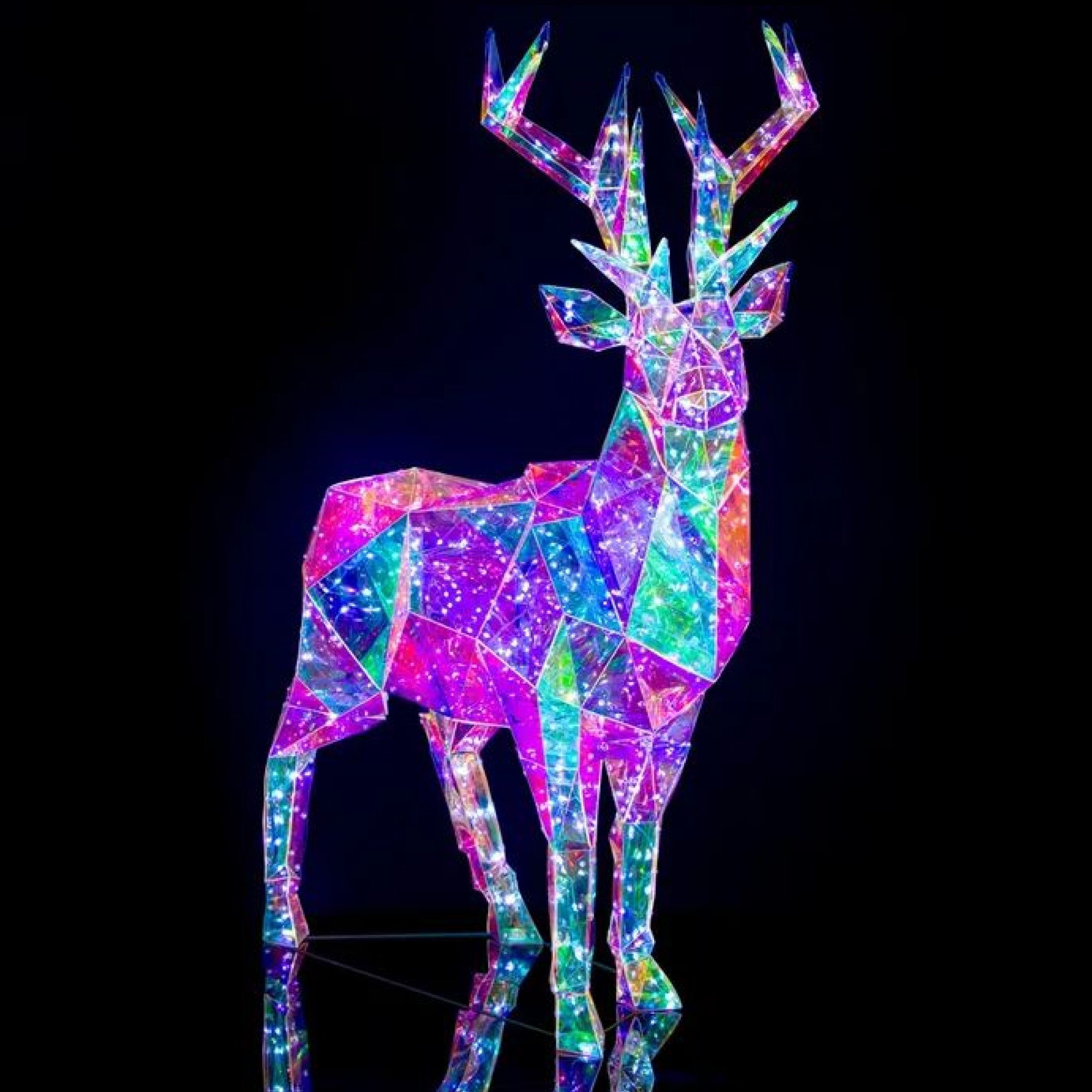 Kurt Adler's 35.4-Inch Pre-Lit Cool White LED Multifunction Holographic ...